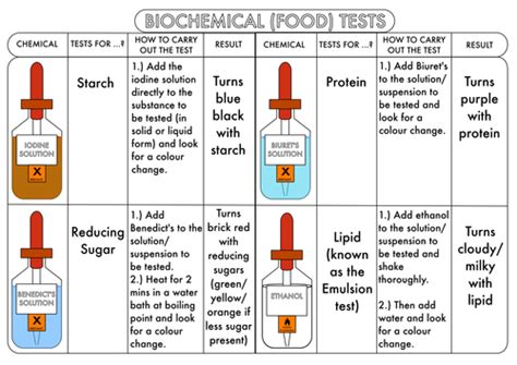 Gcse Biology Biochemical Food Tests Summary Teaching Resources