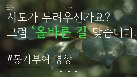 아침명상 10분 두려움 극복 명상 명상가이드 Youtube