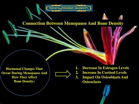 Ppt Menopause And Bone Density Powerpoint Presentation Free Download Id 14093411