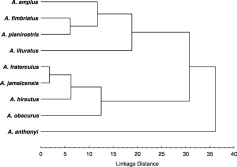 dendrogram constructed employing the unweighted pairgroup method using
