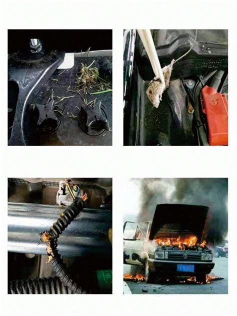 Electronic Ultrasonic Rodent Repellent Usb Rechargeable And Portable For Repelling Mosquitoes