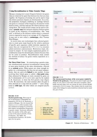 Patterns Of Inheritance PDF Genetics Science