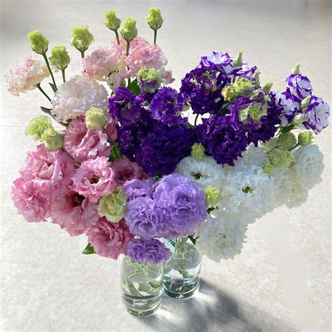 NAKED INC ネイキッド on Twitter 3 4 土 限定NAKED FLOWERS FOR YOUで静岡県産トルコ