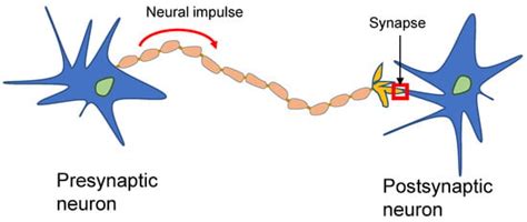 Neuromorphic Computing Using Emerging Synaptic Devices A Retrospective