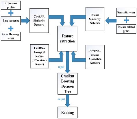 The Flowchart Of Computational Model Gbdtcda Download Scientific Diagram