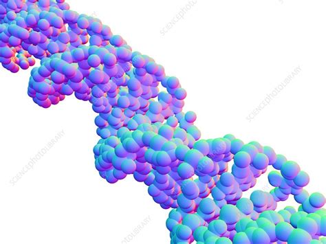 DNA Molecule Computer Artwork Stock Image F Science Photo Library