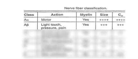 Solution Nerve Fibre Classification Studypool