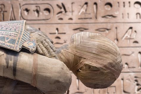 Who Was The Bashiri Mummy Discover Magazine