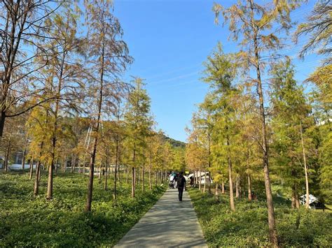 2025년 최신 광저우 여행 가이드 지역 통찰력 포함