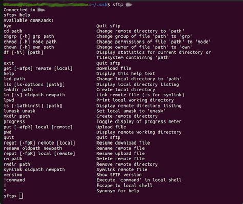 Using Sftp In Linux And Windows Adamant Media Linux Wordpress Mysql Php