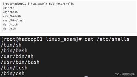 Shell编程快速入门变量字符串传递参数 云社区 华为云