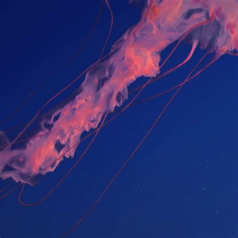 WLED V0 14 B2 With Native SoundReactive Support AthomTech