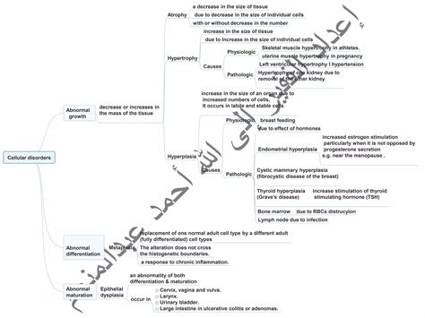 Pathophysiology Mindmap Ppt
