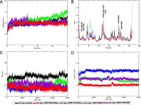 Molecular Dynamics Simulation Analysis During A Time Span Of 40 Ns A Download Scientific