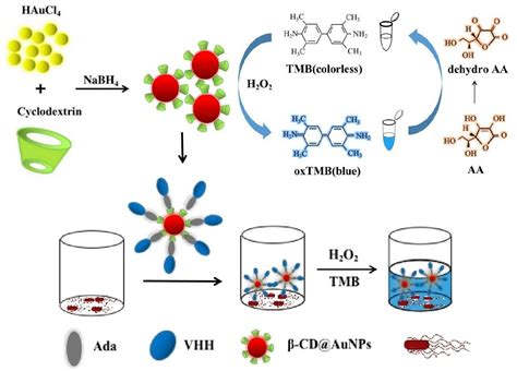 Biosensors Free Full Text Synthesis Of β Cyclodextrin Gold Nanoparticles And Its Application