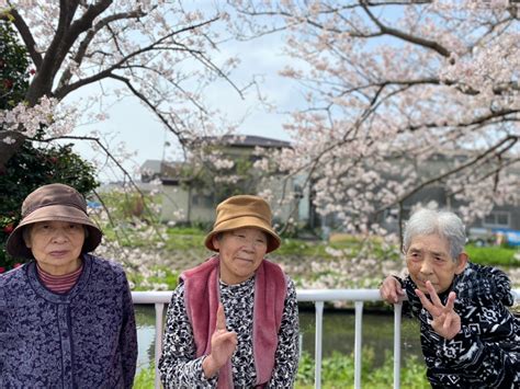 のどかの家沼津diary お花見