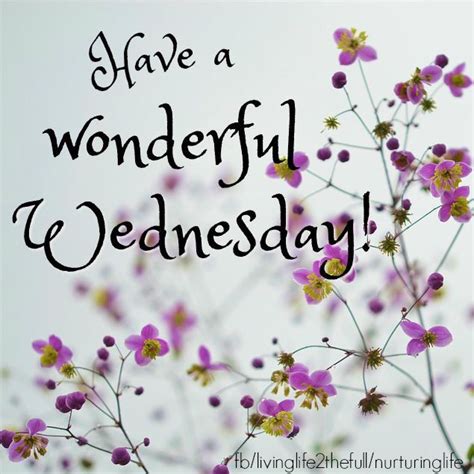 Have A Great Wednesday Images