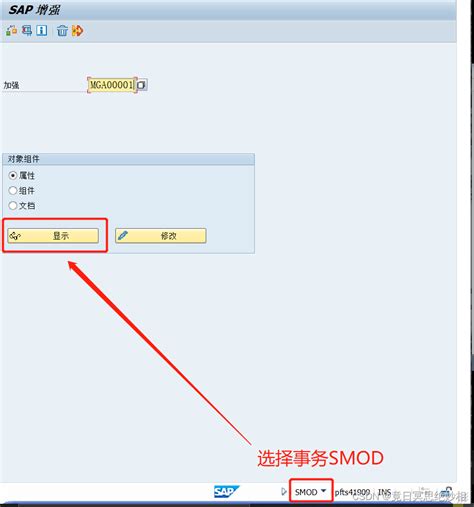 Sap增强技术详解 Csdn博客