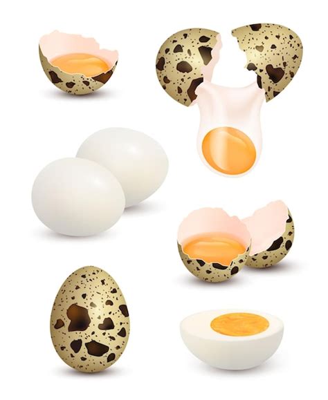 Ovos De Codorniz Modelos Realistas De Ovos Rachados Conjunto De Imagens