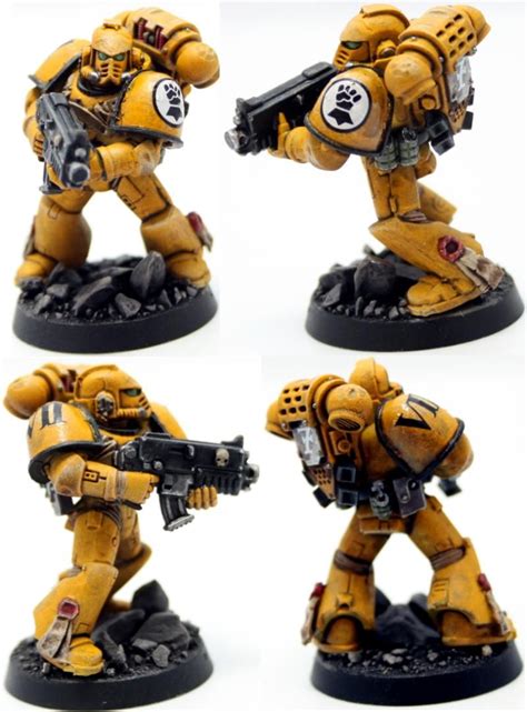 Fist Imperial Space Space Marines Imperial Fist Tactical Marine