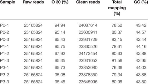 Overview Of Mirna Sequencing Data P0 P1 And P3 In The Table