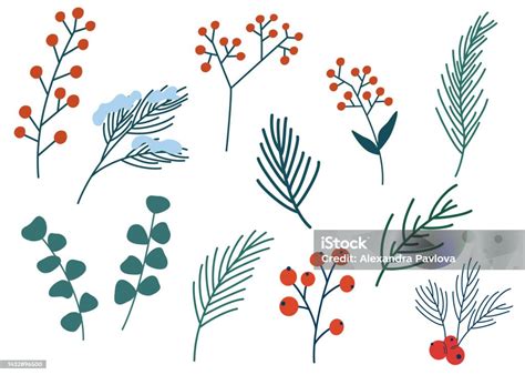 가문비 나무 나뭇 가지 열매 및 원뿔 세트 겨울 식물 크리스마스 단풍 나뭇 가지가 빨간 열매를 가지게합니다 소나무 가문비 나무 전나무 가지와 원뿔 로완 로즈힙 열매 자연