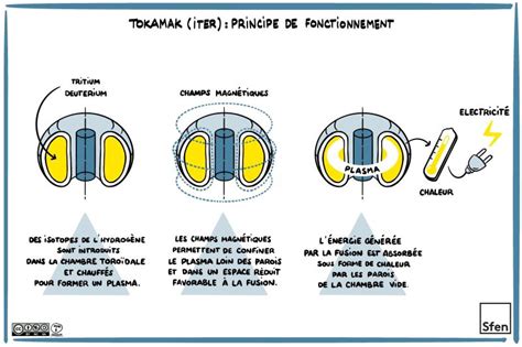 salma kamal on linkedin tokamak iter