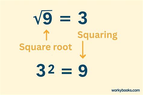 X Squared X² Definition Examples Quiz Faq Trivia