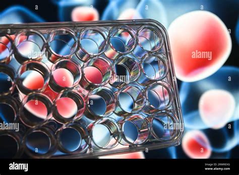 Abstract Background Scientific Biological Research Cultural Tablet Against The Background Of