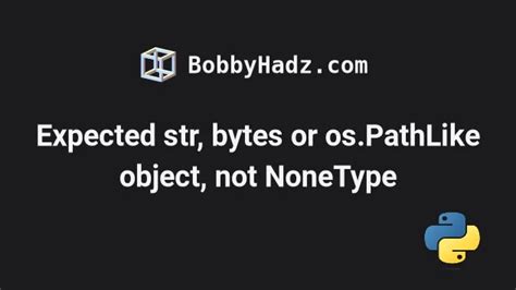 expected str bytes or os pathlike object not nonetype bobbyhadz