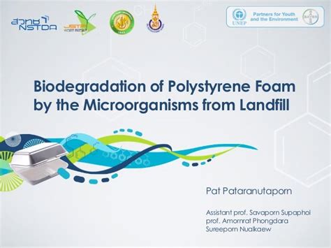 The Biodegradation Of Polystyrene