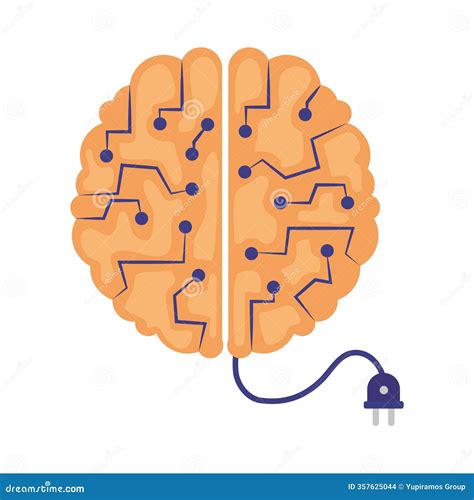 Brain With Neural Pathways Illustration 357625044