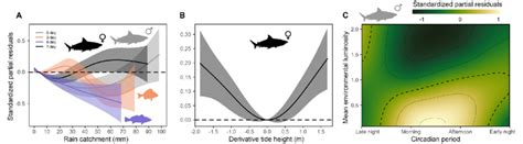 Generalised Additive Mixed Models Of Longitude Centroid Variation High Download Scientific