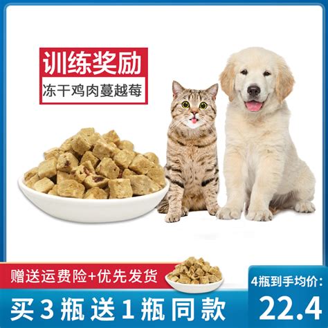 猫对主人的记忆力有多久研究表明猫咪21天就能将你忘记