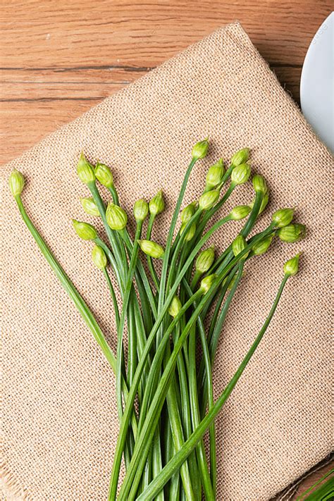 Leek Moss Background Images Vectors And Psd Files For Free Download