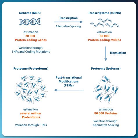 Proteomics Research Blog