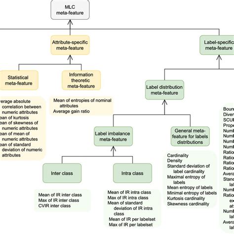 The Taxonomy Of Meta Features For Describing Multilabel Classification