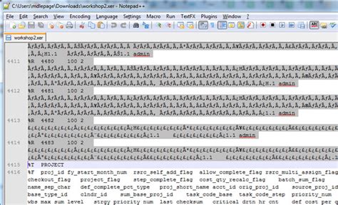 XER File Slow To Import To P Try Cleaning POBS Data