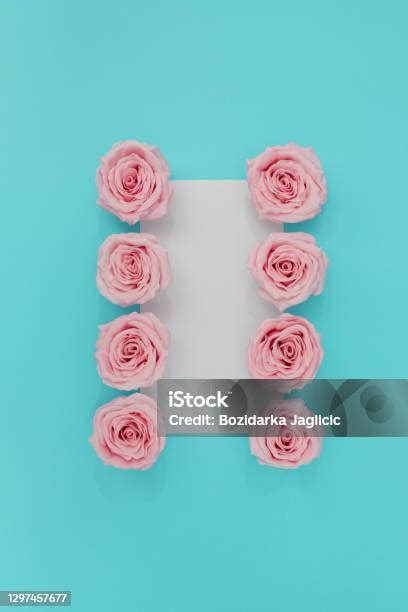 흰색 종이 카드 복사 공간 파스텔 블루 배경에 분홍색 장미 꽃으로 만든 프레임 밝은 최소 플랫 레이 0명에 대한 스톡 사진 및 기타 이미지 Istock