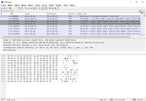 CTFHub Misc 流量分析 3cH0 Nu1L 博客园