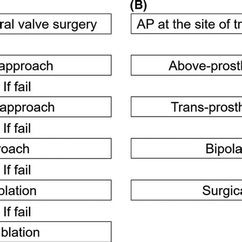 Radiofrequency Catheter Ablation Rfca Using The Bipolar Ablation