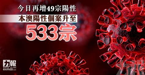 今日再增49宗陽性 本澳陽性個案升至533宗 澳門力報官網