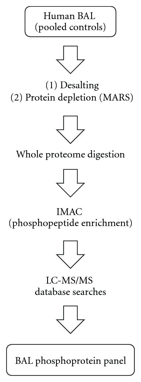 Flowchart Depicting The Bioanalytical Workflow Used For Bal