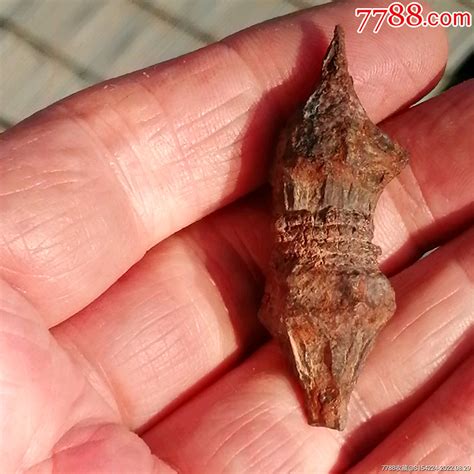 辽代铁质六棱金刚杵 其他宗教藏品 草原上的小木屋7788收藏 收藏热线