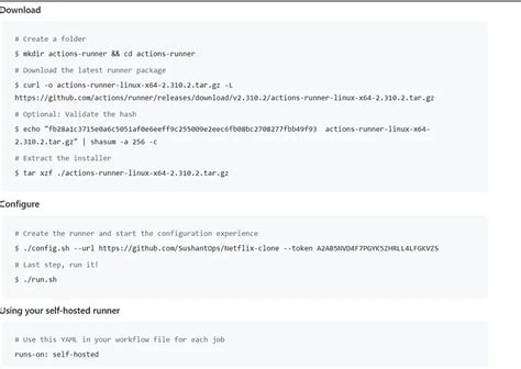 Netflix Ish Deployment Cloudspace Devops Accelerator Program Dap