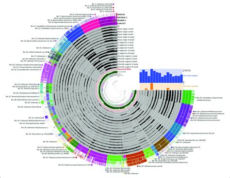 Anvio Interactive Display Of Automated Binning Based Manual Assembly Download Scientific