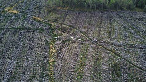 풍경 베커몬드 크레이븐 요크셔 데일스 국립공원 노스요크셔 잉글랜드 삼림 벌채 토지 의 지역 0명에 대한 스톡 사진 및 기타 이미지 Istock