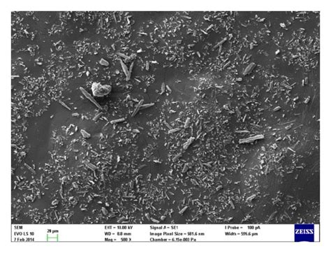 Sem Microphotographs Of Noncomplying Sample As 1 A And Complying