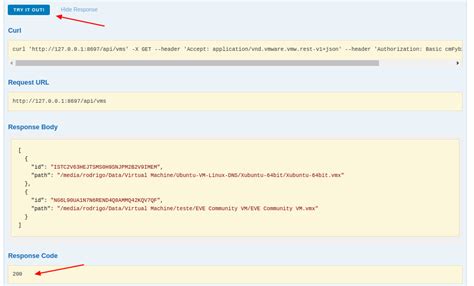 Blog Vmware Workstation Rest Api Cisco Redes