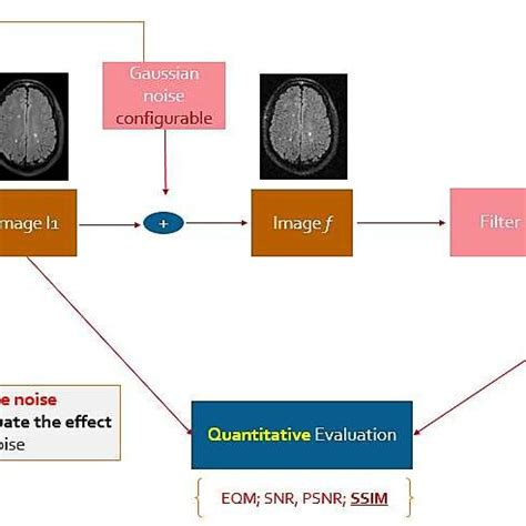 Workflow Of Gaussian Configurable Noise Addition Download Scientific Diagram